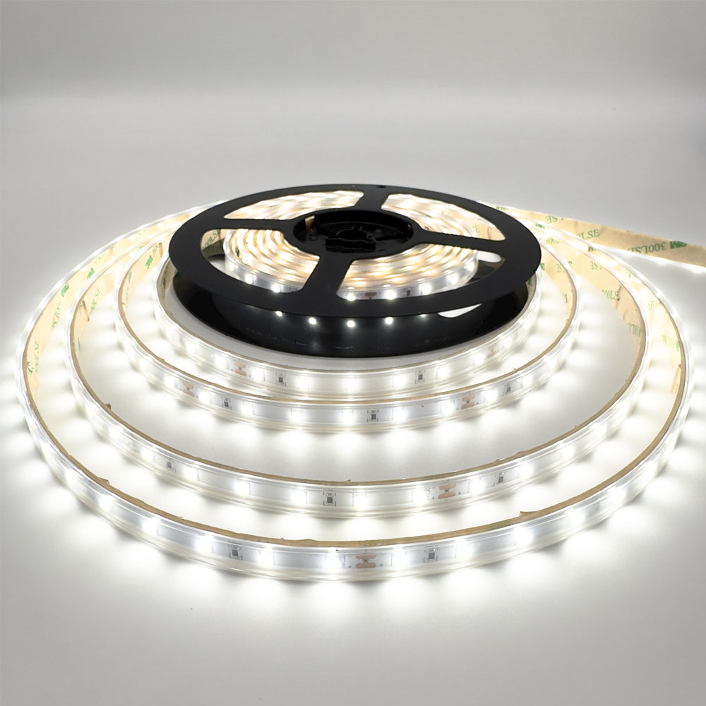 Single Colour LED Strip 12 W/m IP65 24V 6500K 60 LEDs/m CRI>92 10 Metr